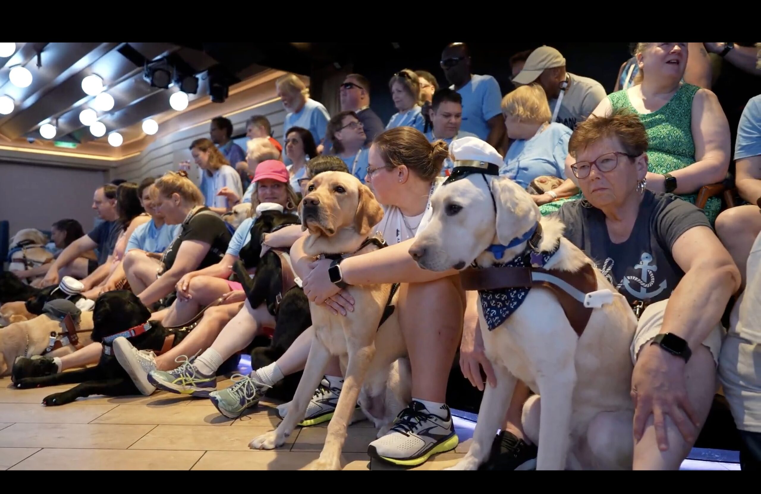 A New Perspective Shorts - RiverRun International Film Festival