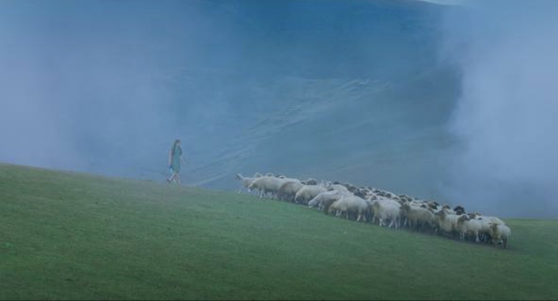 Sheep - RiverRun International Film Festival